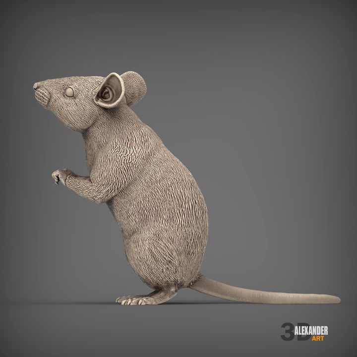 3D Printable mouse on hind legs by Alexander3dart